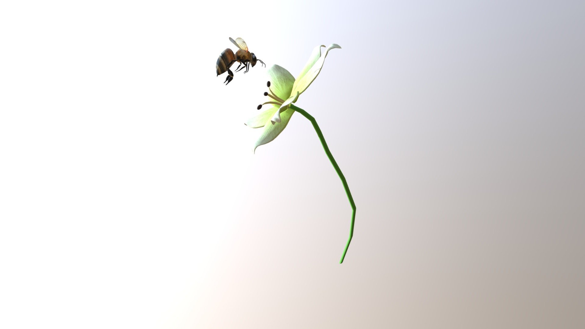 Flower And Bee Model - Download Free 3D model by AJW2017 [8142056] - Sketchfab
