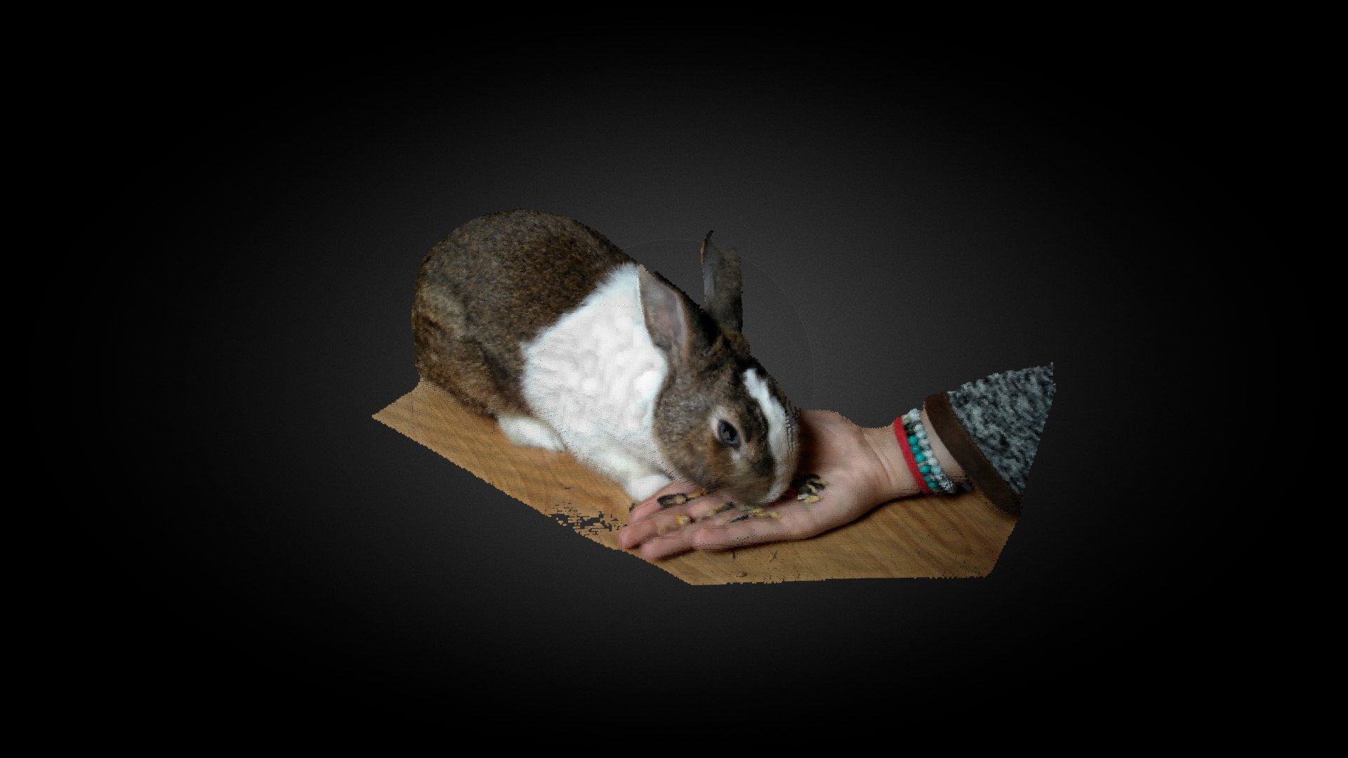 Bunny Point Cloud - 3D model by aknavj [8145230] - Sketchfab