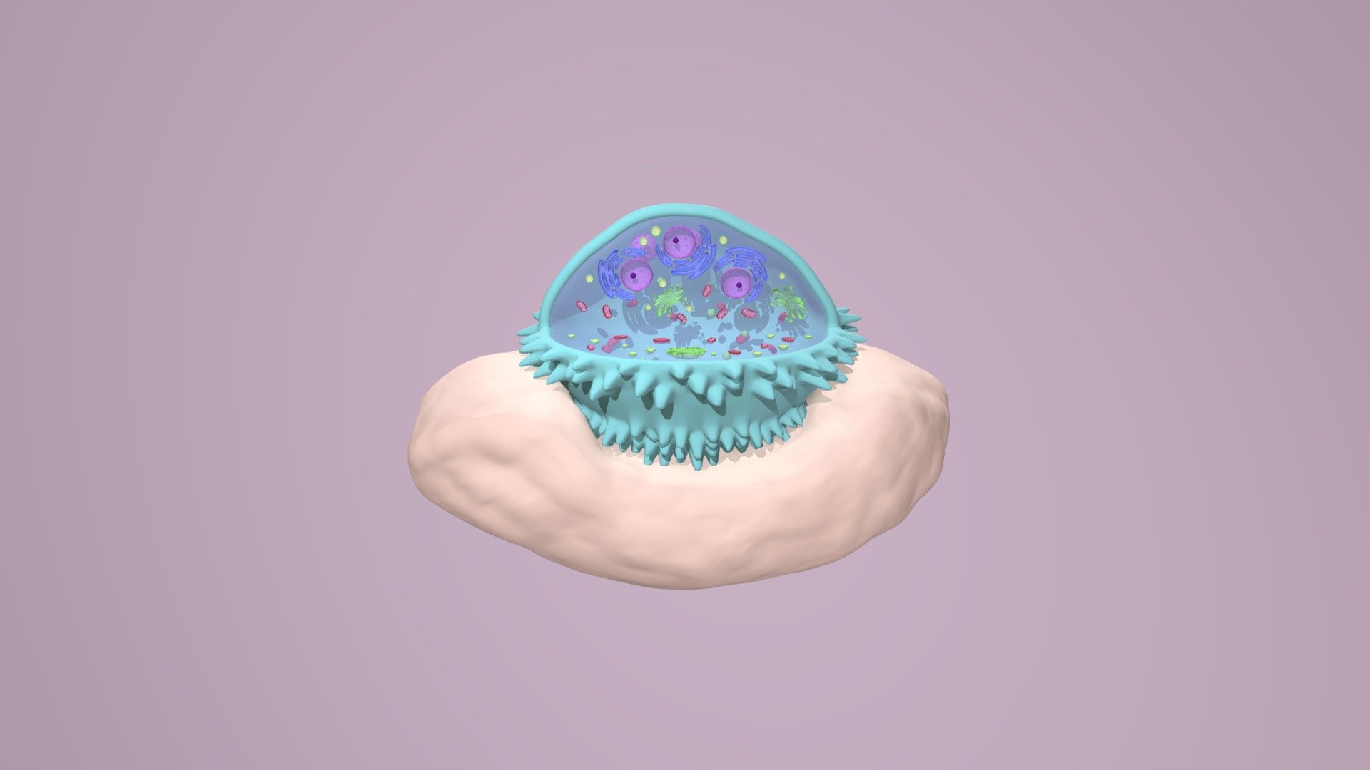 Osteoclast - 3D model by Cassie Young (@cassiemedart) [814c7ef] - Sketchfab