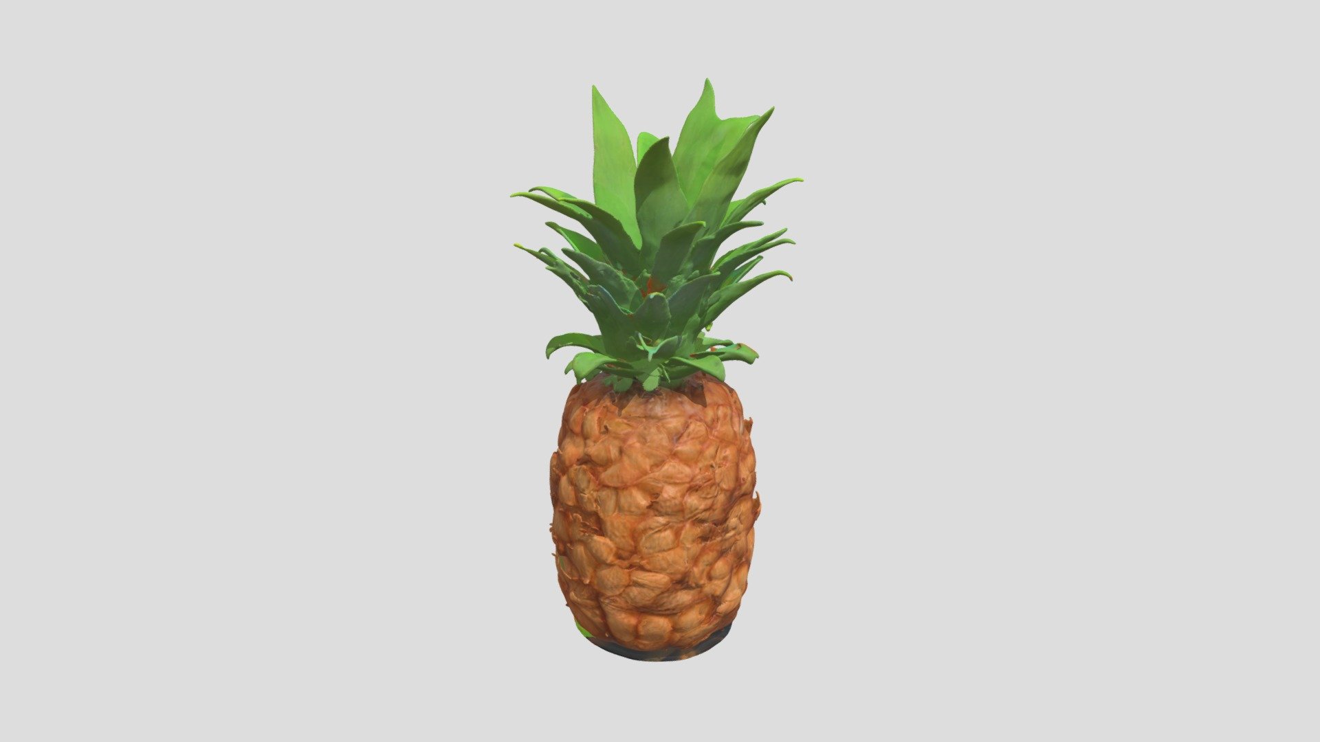 Ananas - Download Free 3D model by faerbogdan99 [814eb9a] - Sketchfab