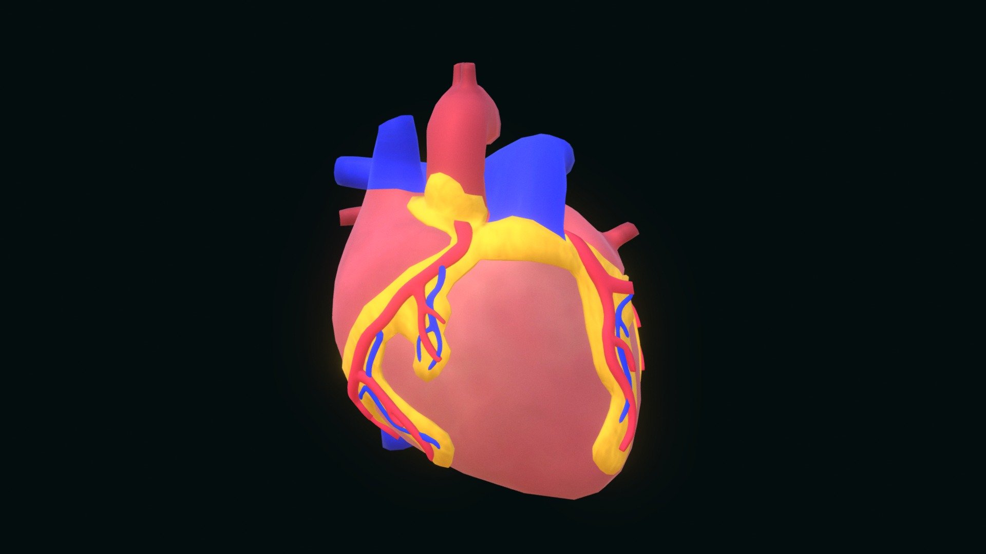 Heart - animation - 3D model by ahkiaaso [814f22c] - Sketchfab
