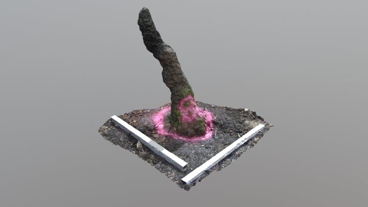 Termite 3D models - Sketchfab