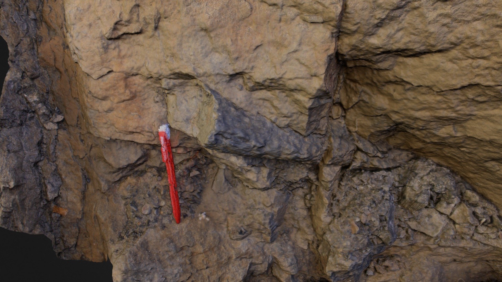 Stigmaria root fossil - 3D model by alanpitts [8152783] - Sketchfab