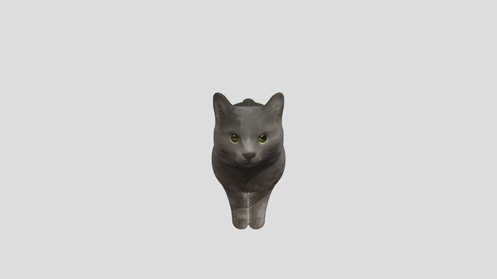 Gray_cat 3D models - Sketchfab