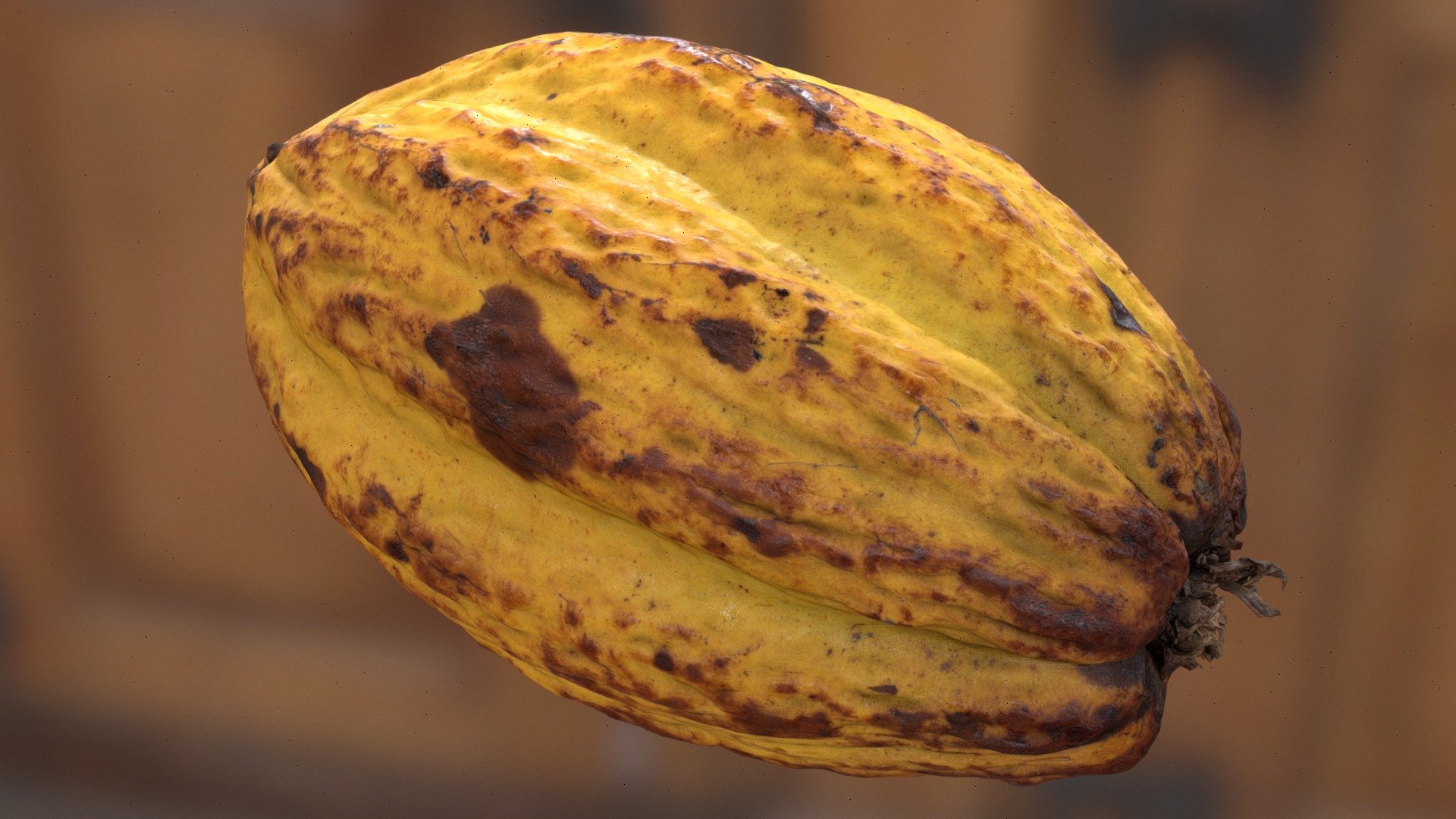 Cacao Pod Photorealistic PBR - Download Free 3D model by Fractale3D ...