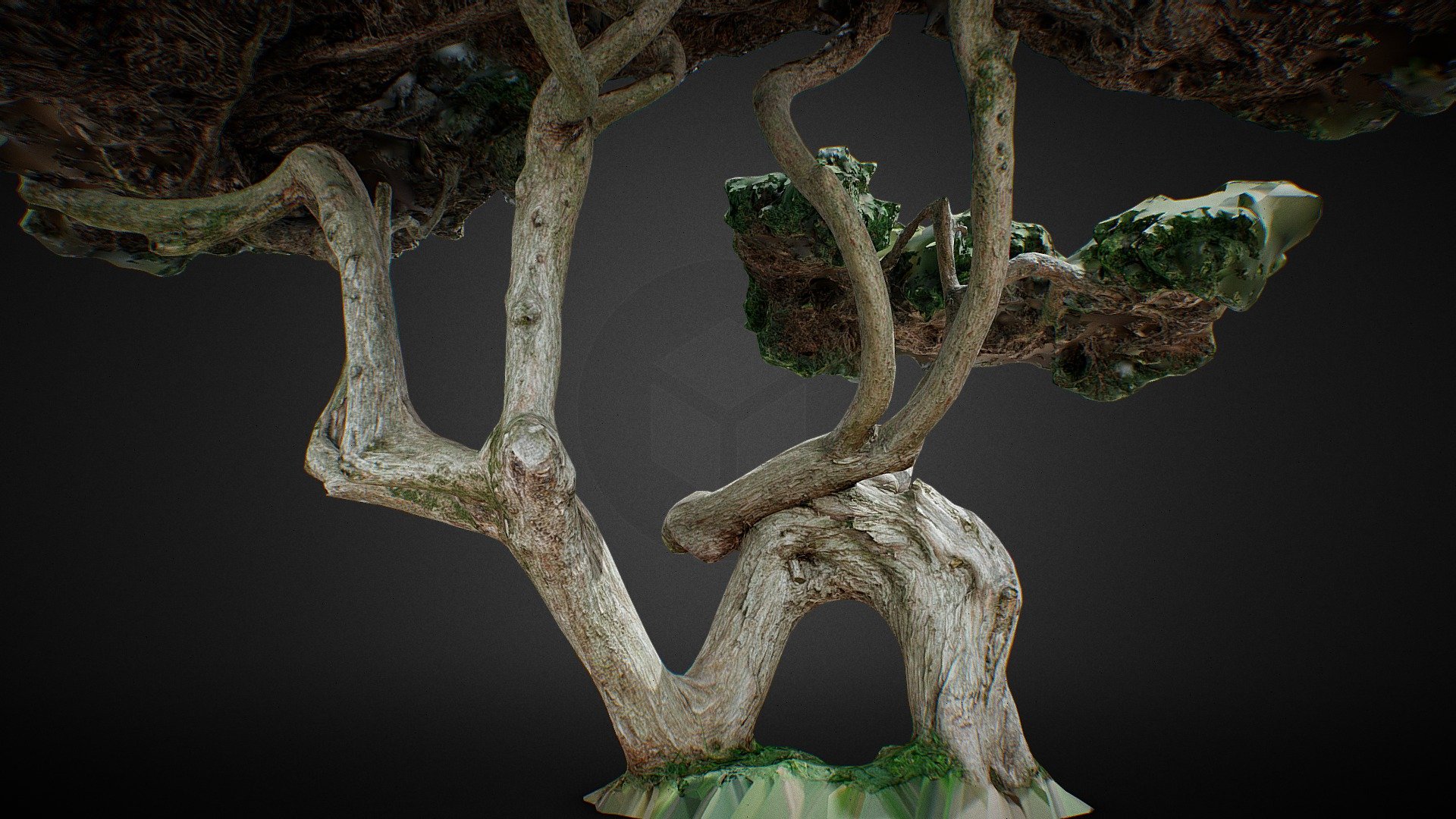 Tree 3D Scan - Download Free 3D model by grafi (@zdenkoroman) [815a7ce ...