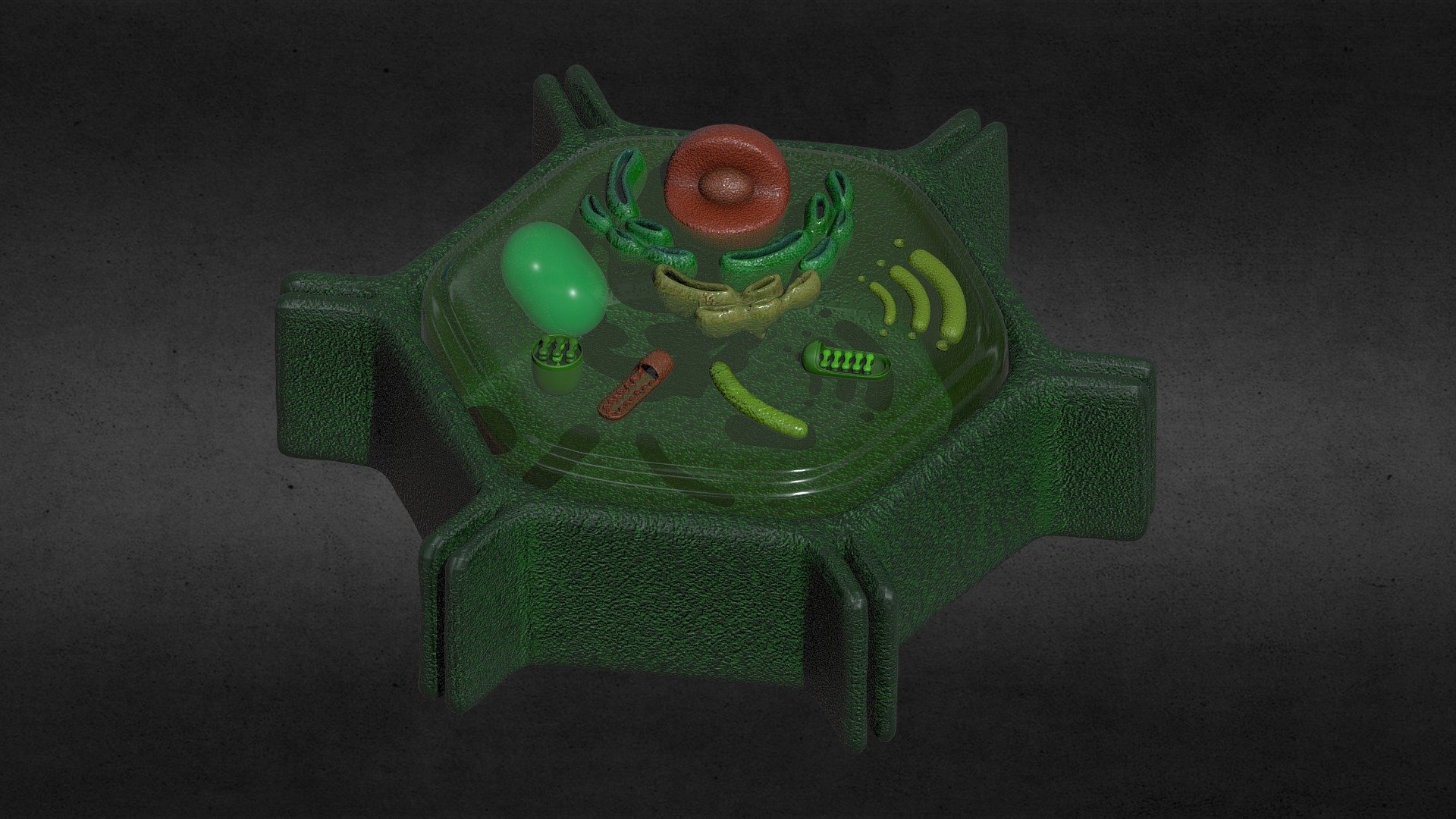 Plant Cell v2 - Buy Royalty Free 3D model by AH (@idealiz3d) [815da89] - Sketchfab Store