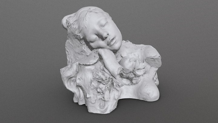 Rodin 3D models - Sketchfab
