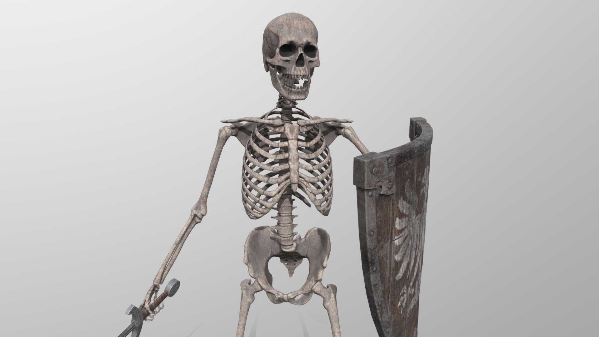 Skeleton Warrior - 3D model by AlexN (@alexner) [8160184] - Sketchfab