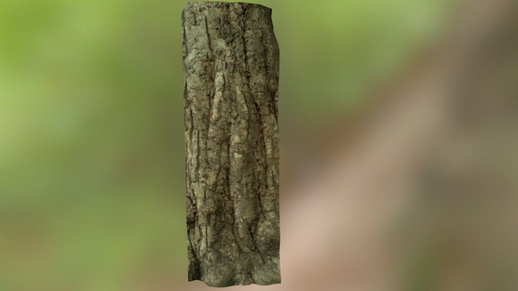 tree_bark1 - 3D model by KrazyPigeon [816197b] - Sketchfab