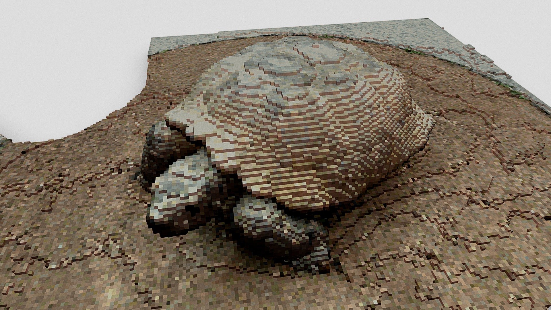 Turtle (voxels) - Download Free 3D model by Emm (@edemaistre) [8167d3c ...