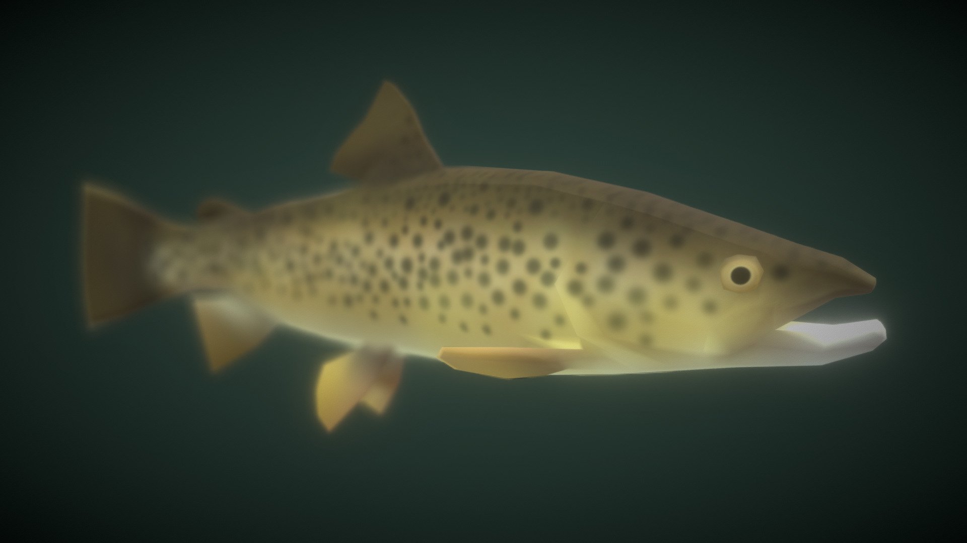 Brown Trout - 3D model by CatfishYAY [8169169] - Sketchfab