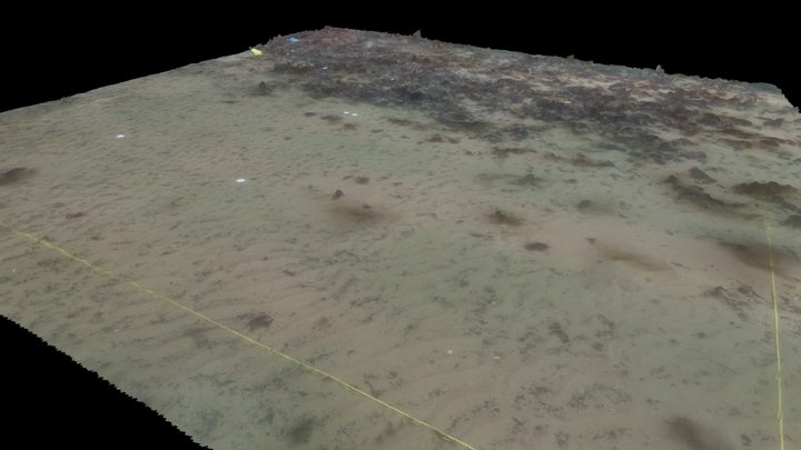 Seabed 3D models - Sketchfab