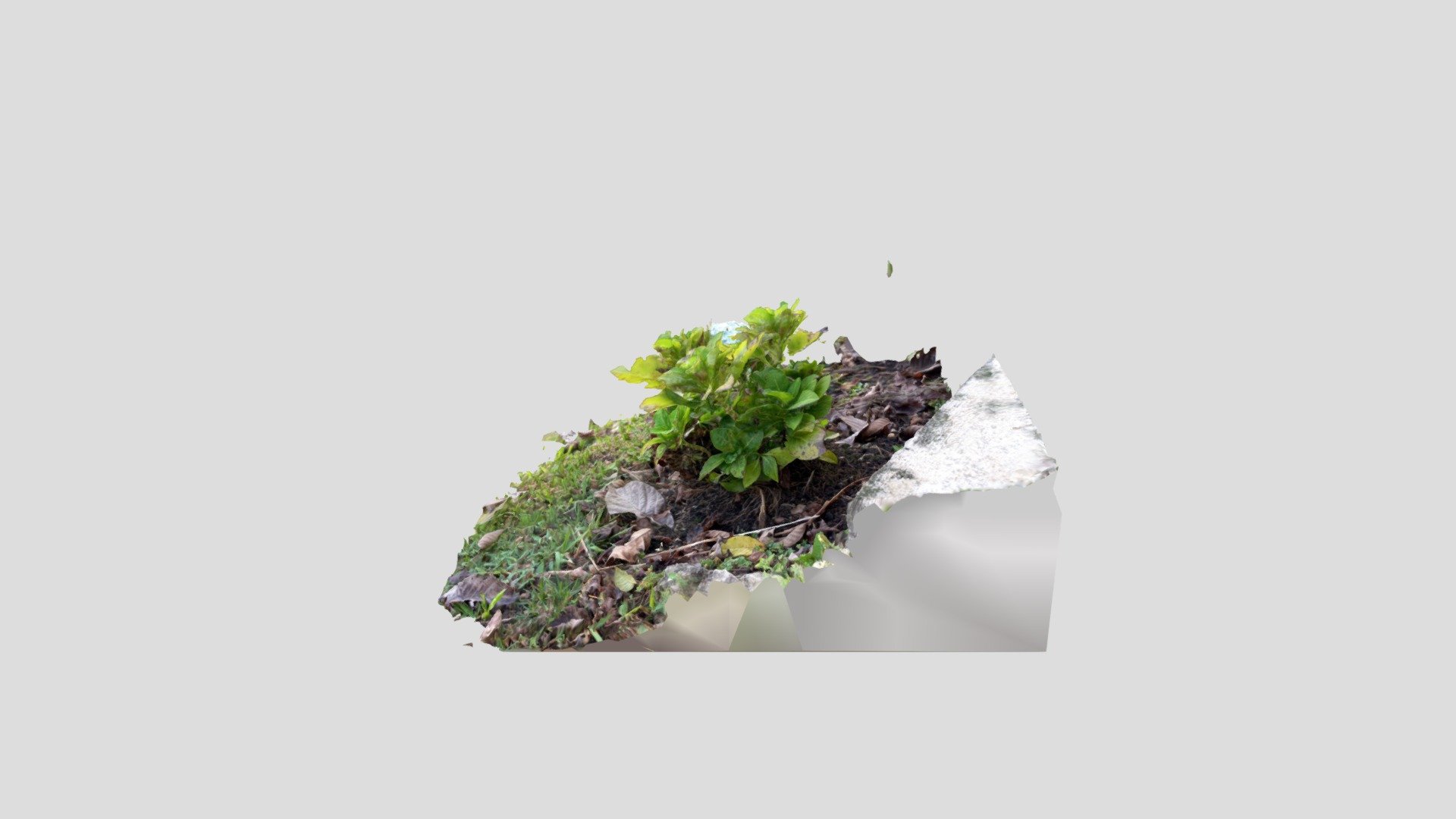 Flor1 - Download Free 3D model by mariaisabelmorenomorales051 [816be0d ...