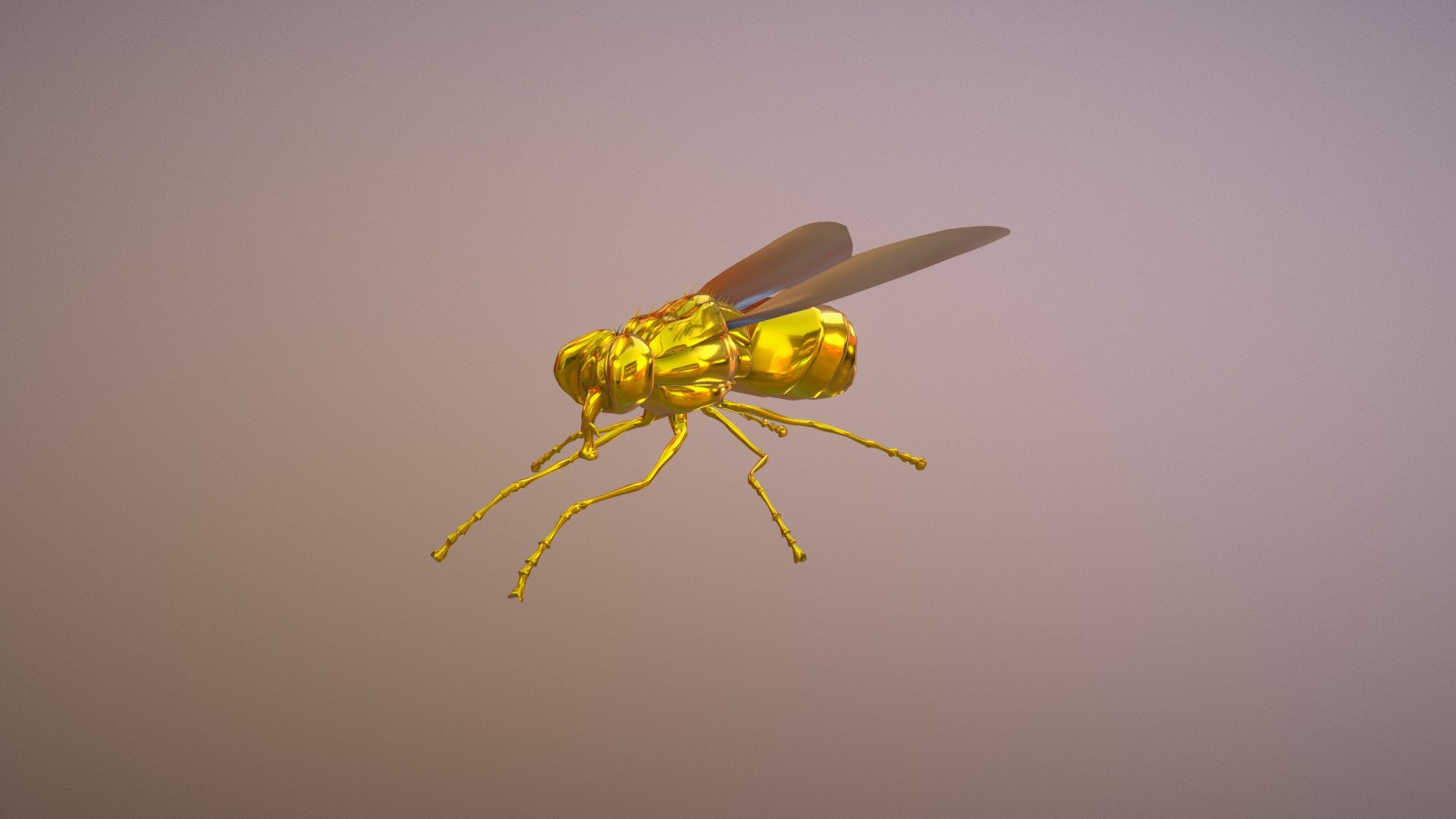 Gold Fly - 3D model by Armendariz22 [816e5fd] - Sketchfab