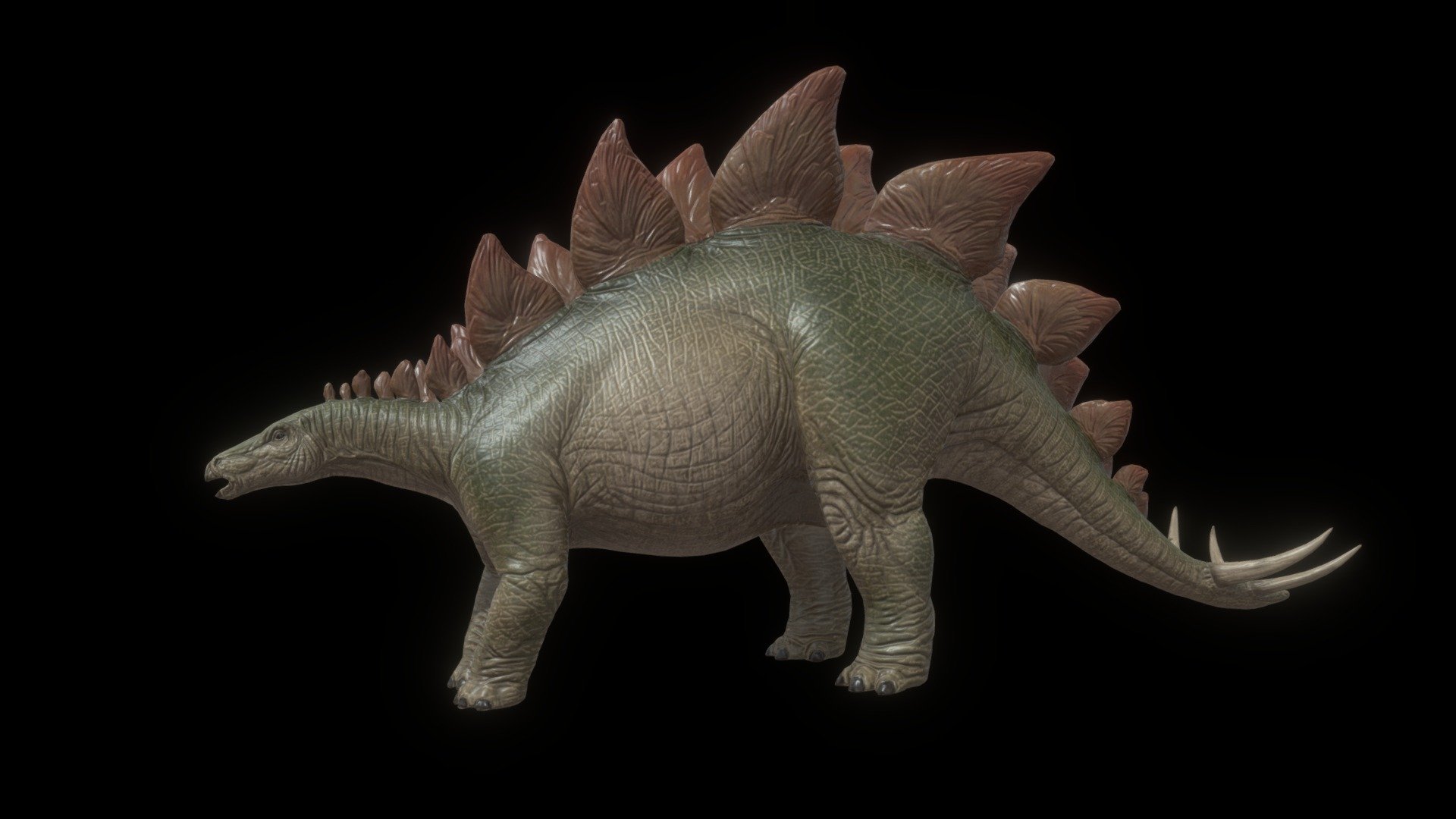 Stegosaurus armatus - Download Free 3D model by DanielWalsh ...