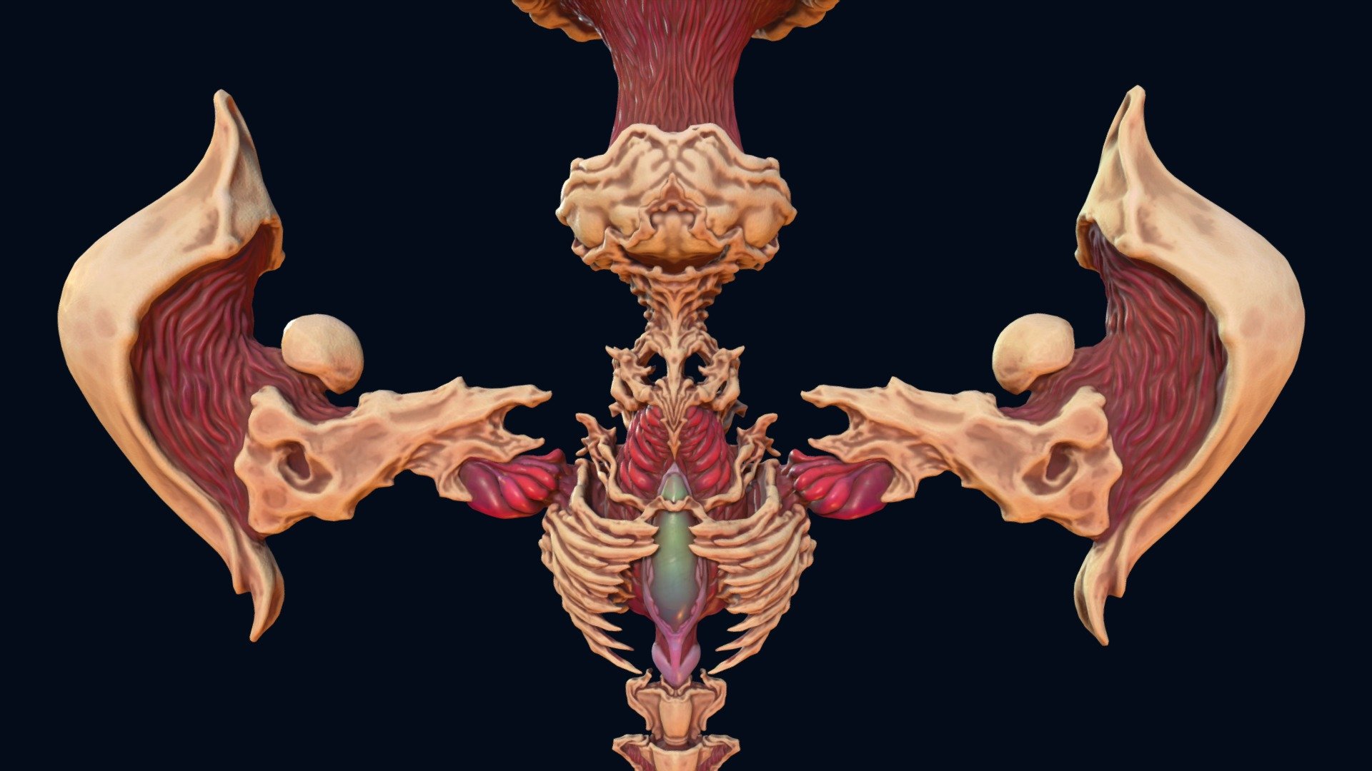 BoneCross - 3D model by Kerem Pehlivanoglu (@kerempehlivanoglu ...