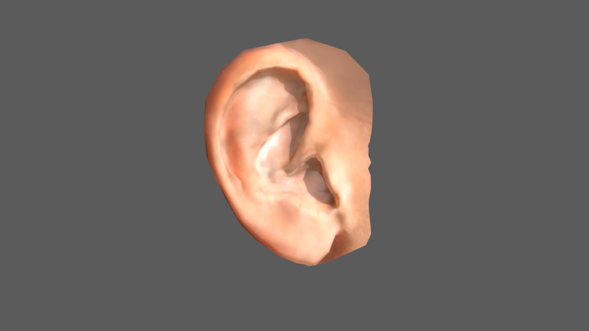 Ear low poly - 3D model by Neronova [818a91c] - Sketchfab