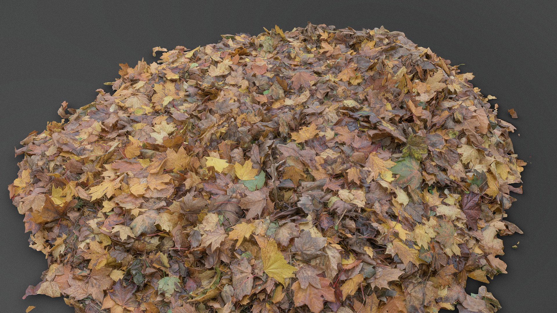 Leaf pile - Buy Royalty Free 3D model by matousekfoto [818c77c ...
