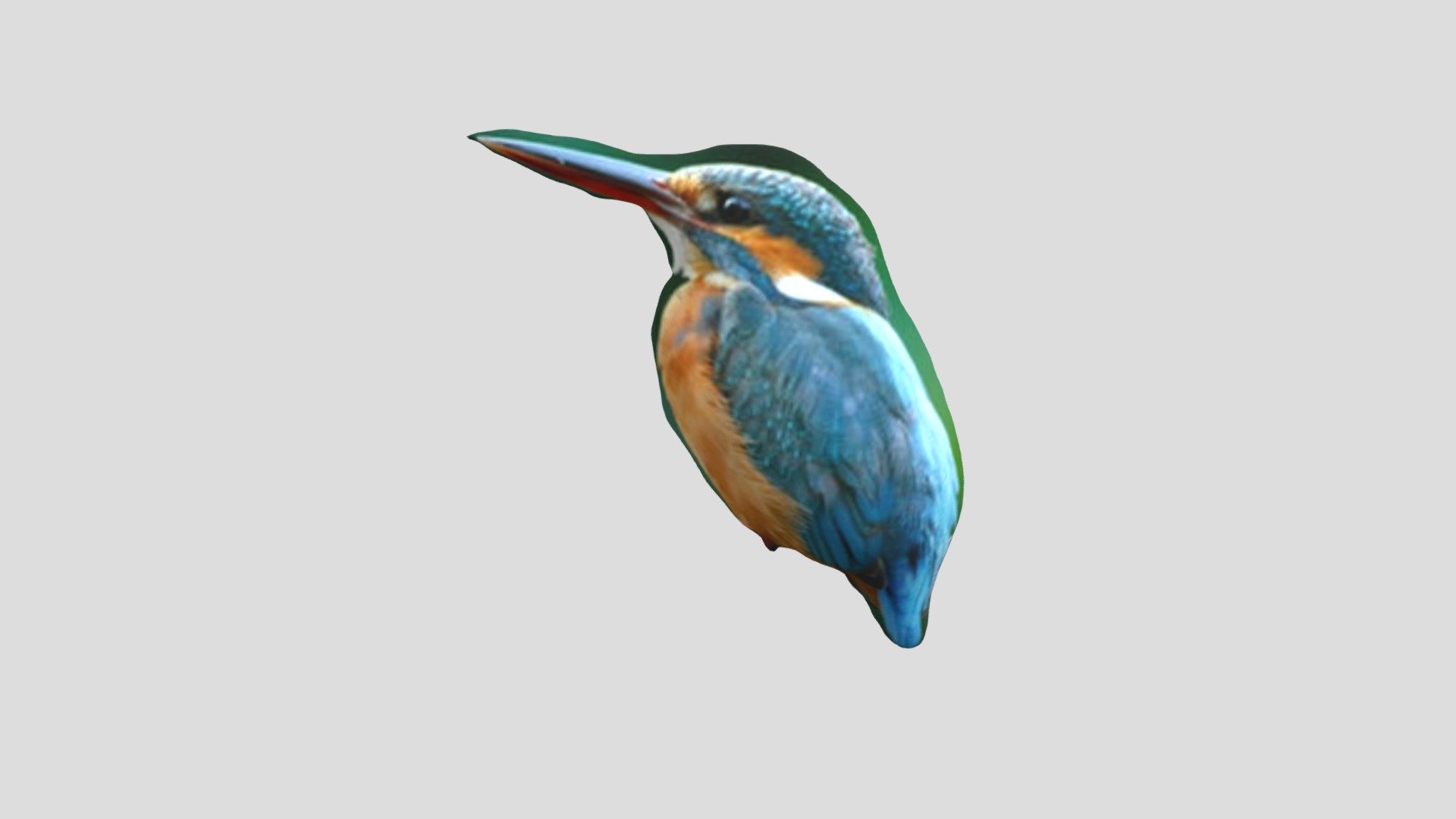 bird - 3D model by 208550524 [818cfbb] - Sketchfab