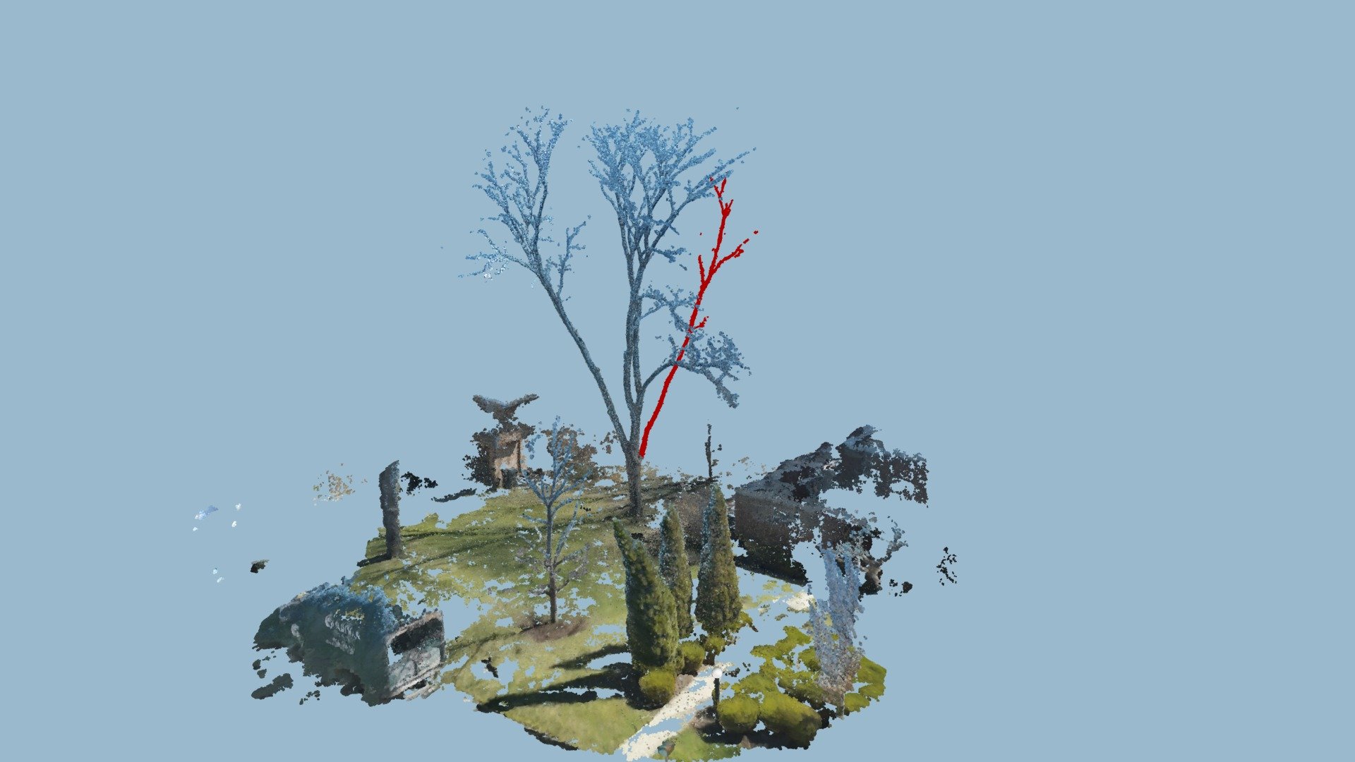 Honey Locust - 3D model by Aerial Arborist Innovations ...
