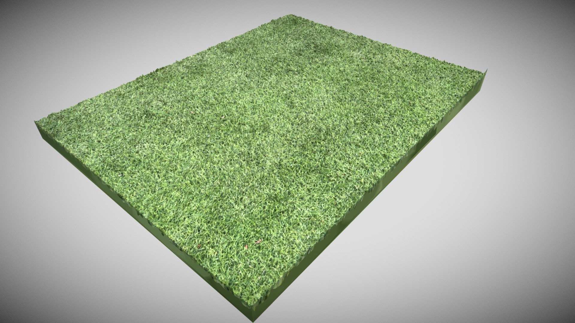 1x1 grass scanned - Download Free 3D model by ahmedsaeedmirza [818f121 ...