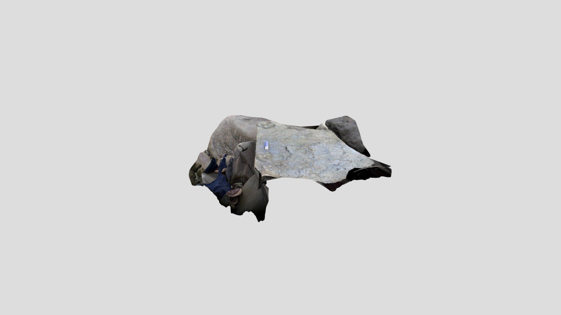Baby hadro trackway - Download Free 3D model by YoshitsuguKobayashi ...