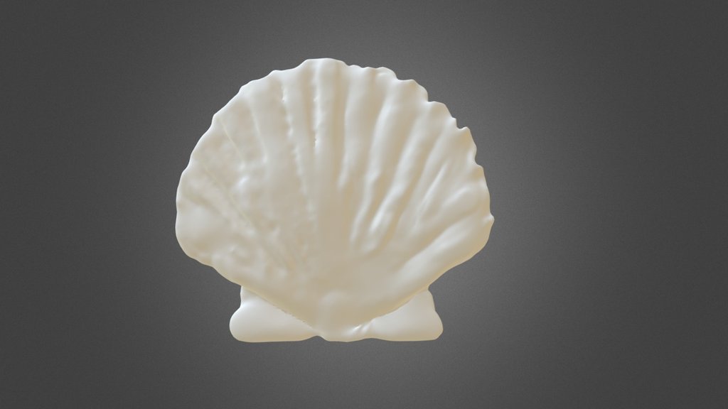 Pecten Jacobaeus - Download Free 3D model by multimediapackreplicator ...