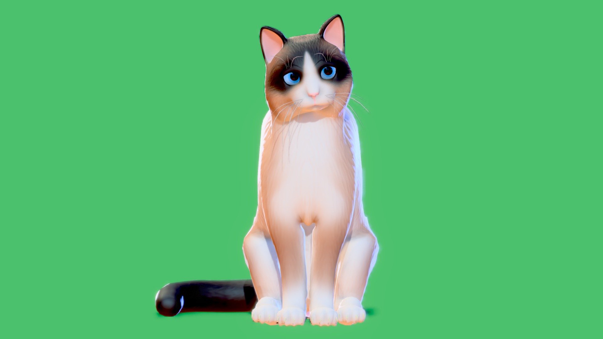 Low poly - Stylized cats - Snowshoe Cat - Buy Royalty Free 3D model by ...