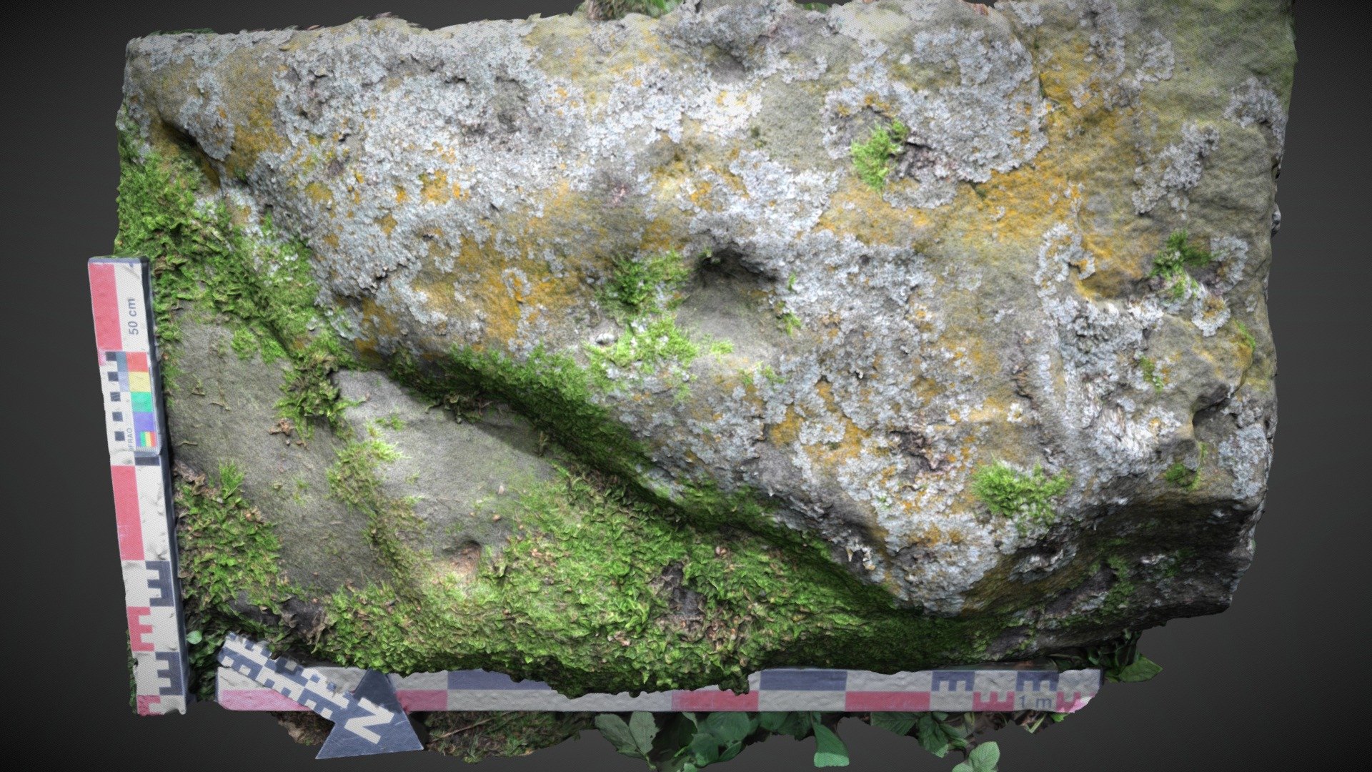 Panorama Woods 01 (Aug 2012) - Download Free 3D model by England's Rock ...
