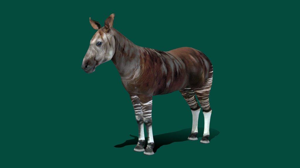 ANIMALS - A 3D model collection by mickael.gallo.13 - Sketchfab
