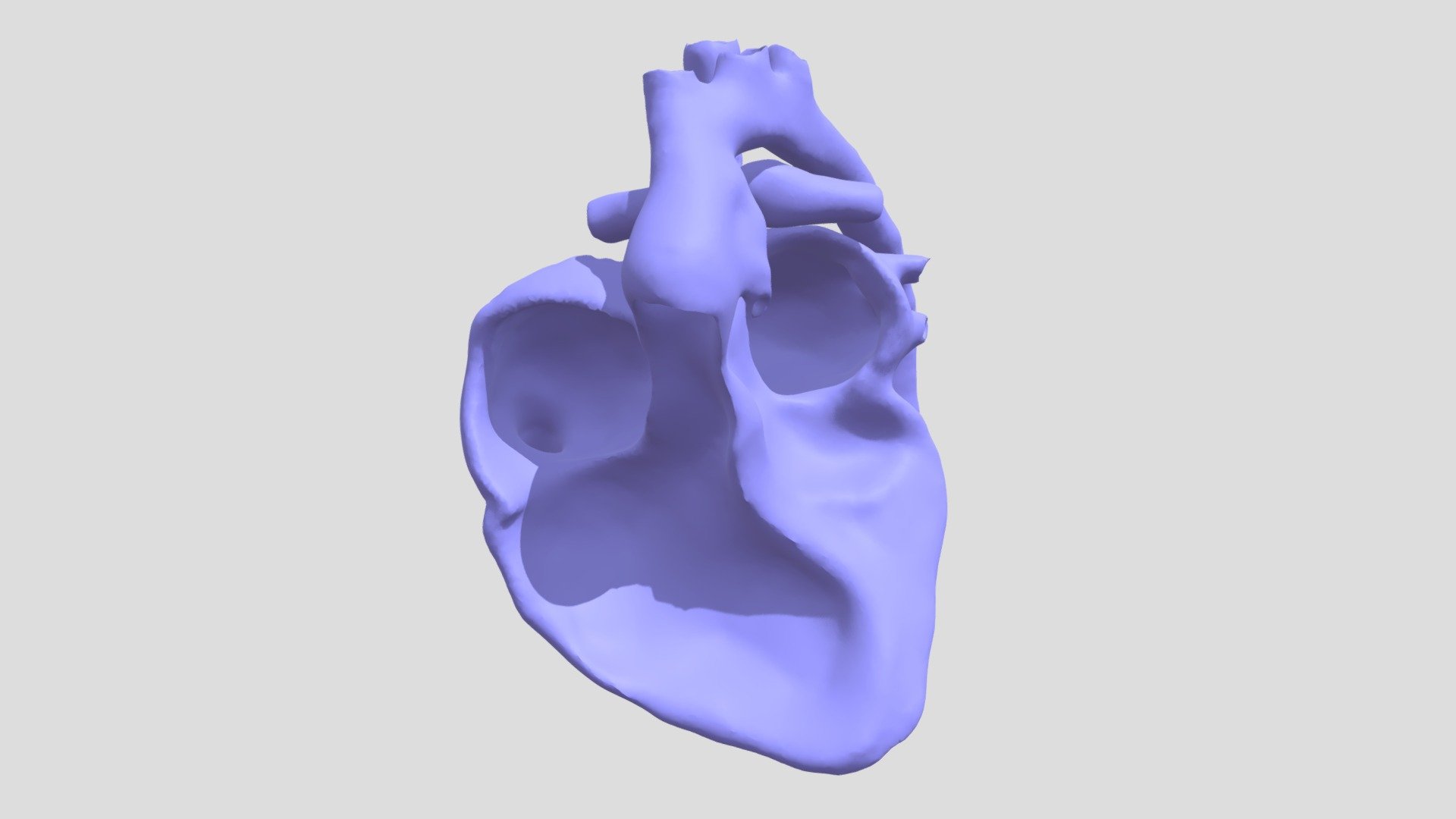 Bi-Directional Glenn - Download Free 3D model by tnisi6789 [81adbc8 ...