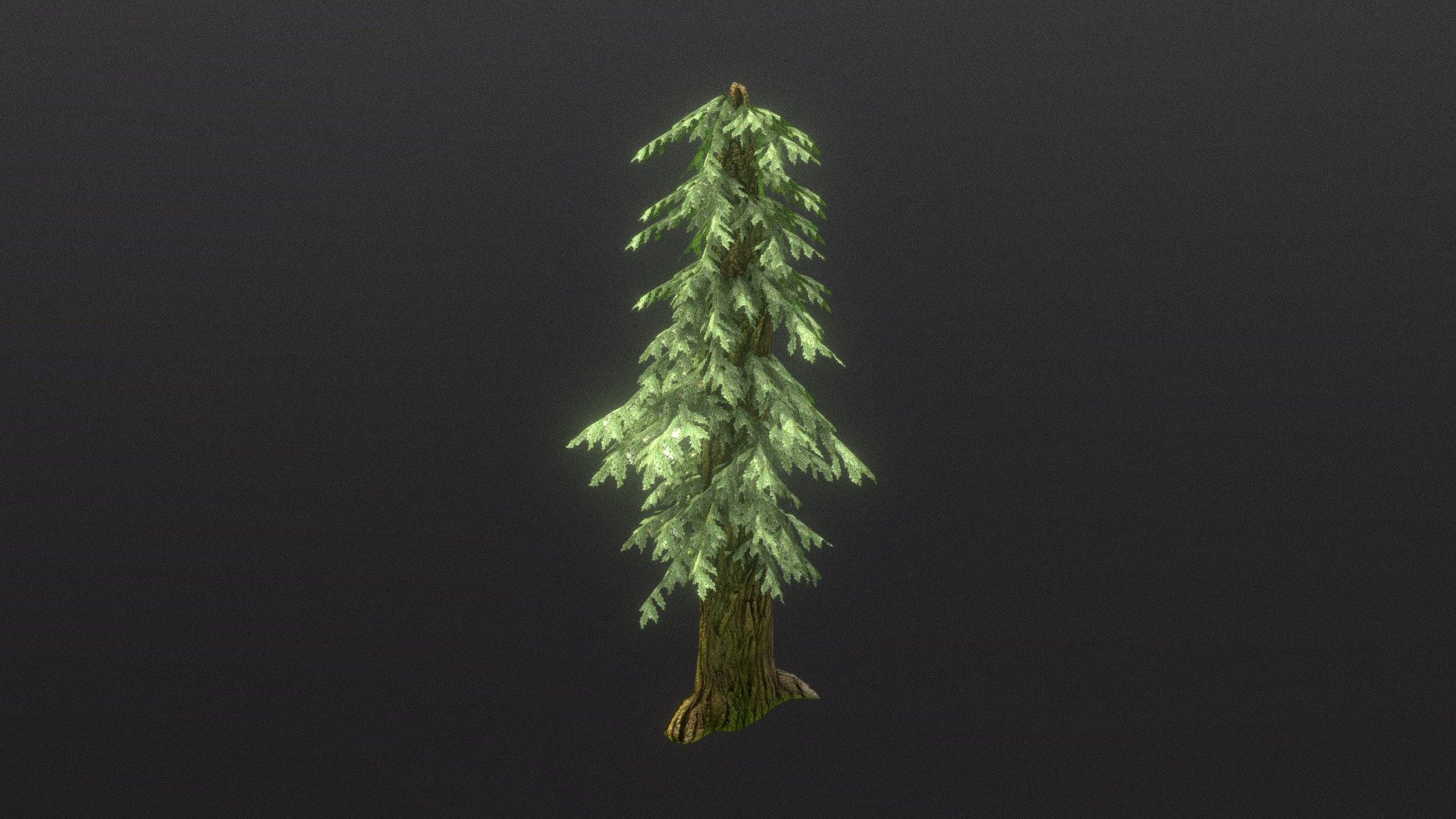Pine Tree - 3D model by javieleven [81ae2b5] - Sketchfab