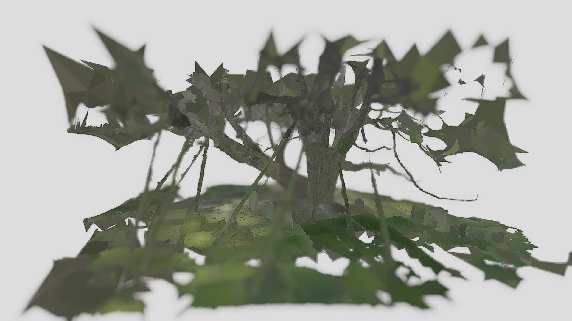 WILMINGTON YEW TREE RC 230322 - 3D model by peterbarry [81b0ae5 ...