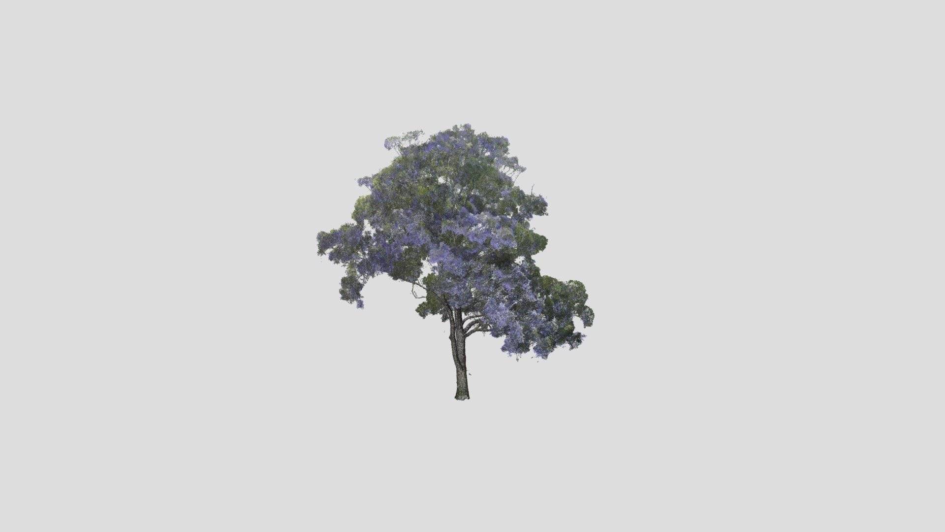 Tree Point Cloud - Buy Royalty Free 3D model by magnum_opus (@tree ...