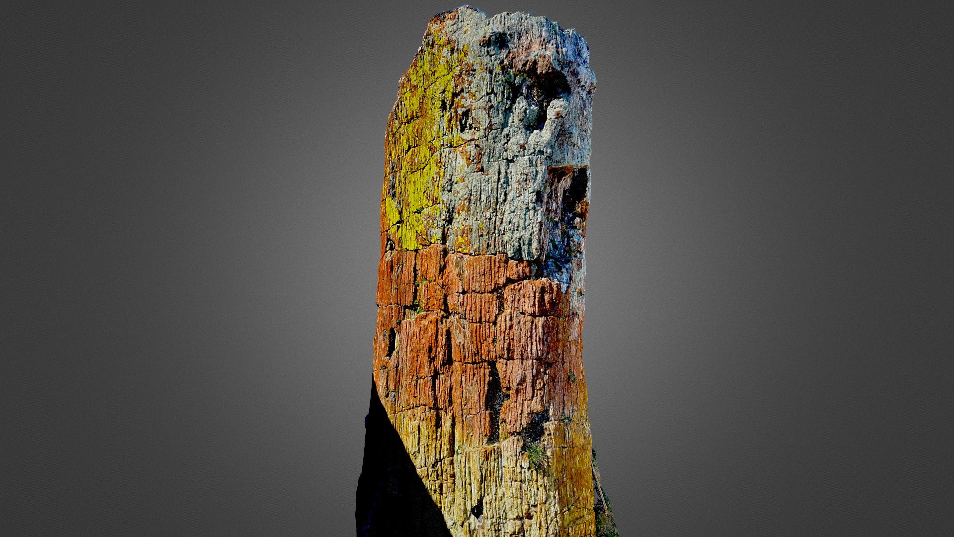 Giant Petrified Tree - 3D model by Lesvos_Museum [81b6190] - Sketchfab