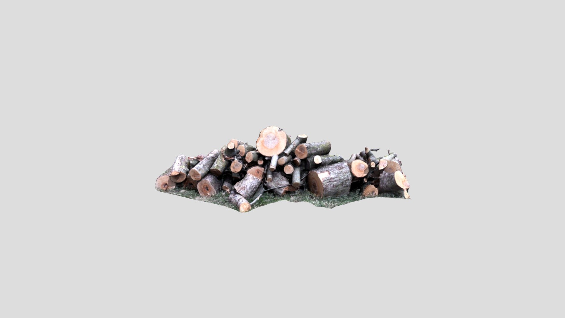 Wood pile - 3D model by John.Deckard [81beb20] - Sketchfab