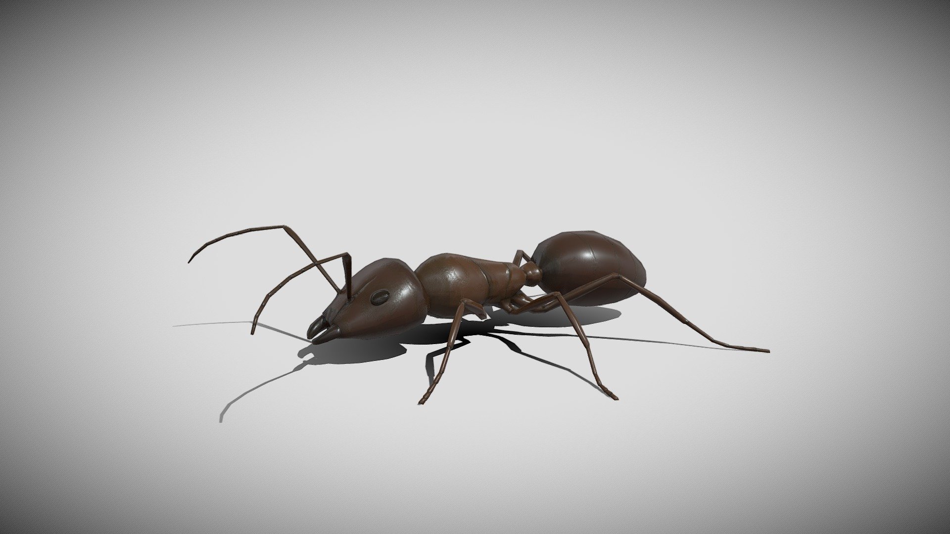 Medhue Ants - Buy Royalty Free 3D model by Medhue (@Medhue1) [81c5df2] - Sketchfab Store