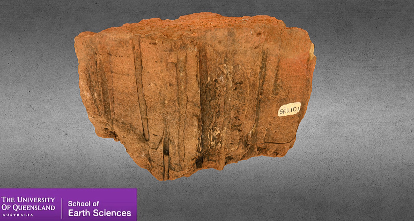 Ichnofacies - Skolithos - 3D model by nate_siddle (@nate_sid) [81daf7e ...