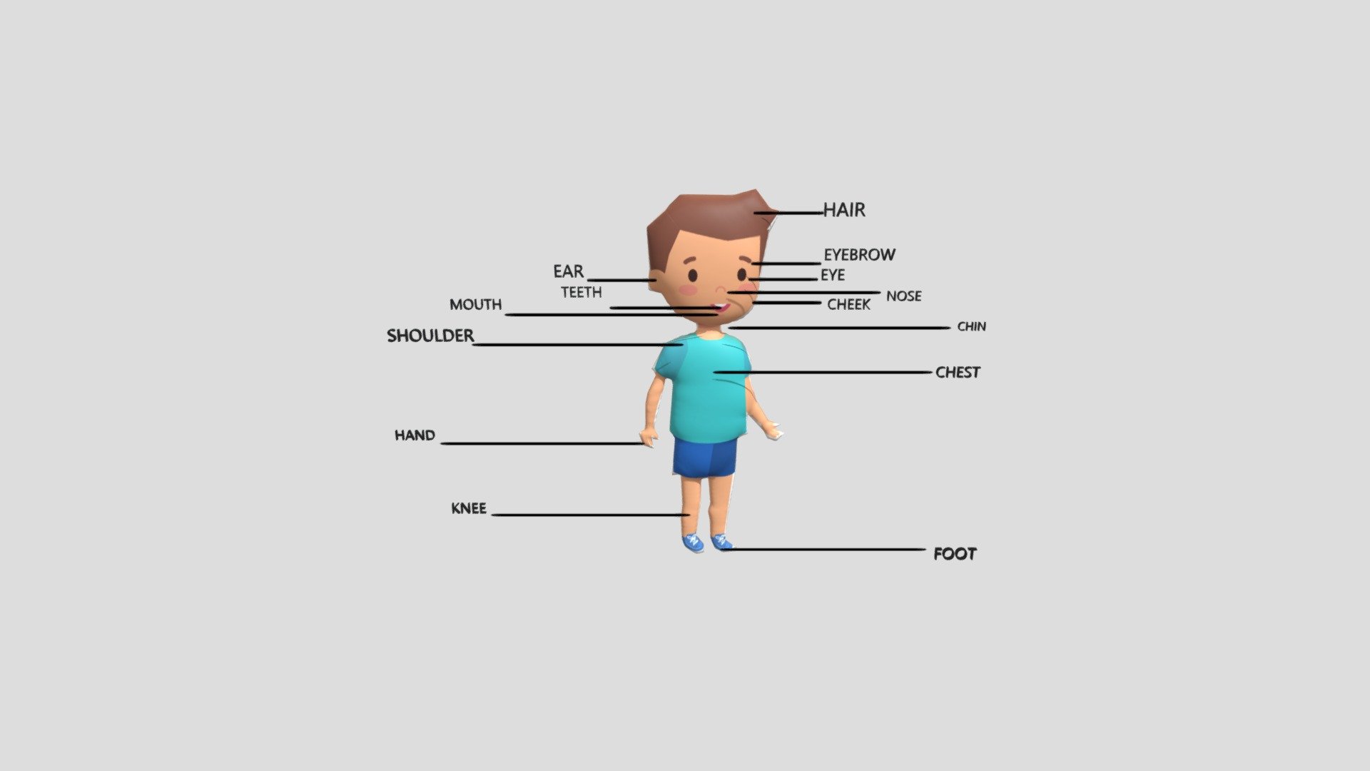 PARTS OF THE BODY - IRENERACHE - 3D model by irenerache [81ddc96 ...