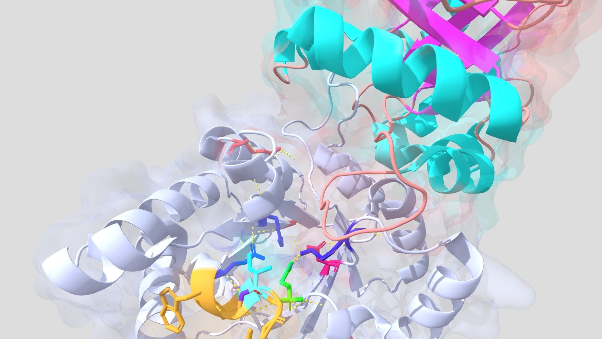 hTPI enzyme model - Download Free 3D model by sophieandben [81e19b8 ...