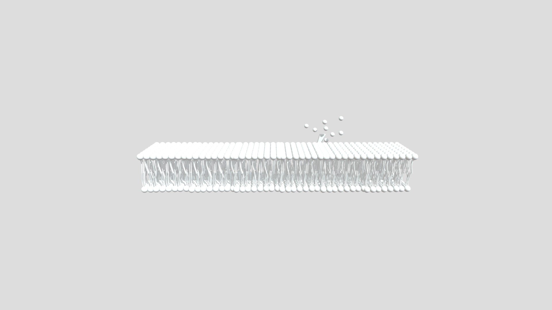 Facilitated Diffusion Object Final - 3D model by santi4234 [81e425e ...