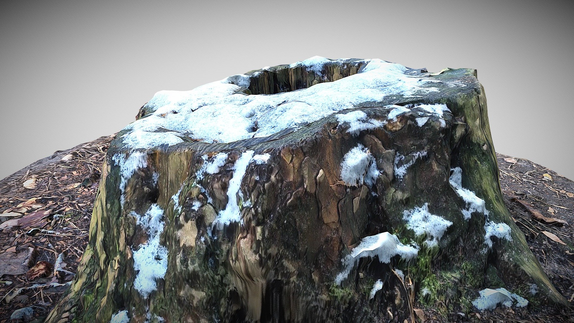 Tree stump with snow - Baumstumpf mit Schnee - Download Free 3D model ...