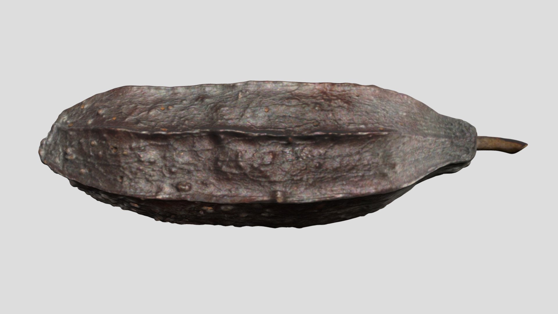 Cocoa pod - 3D model by Aberdeen City Libraries (@AberdeenCityLibraries ...
