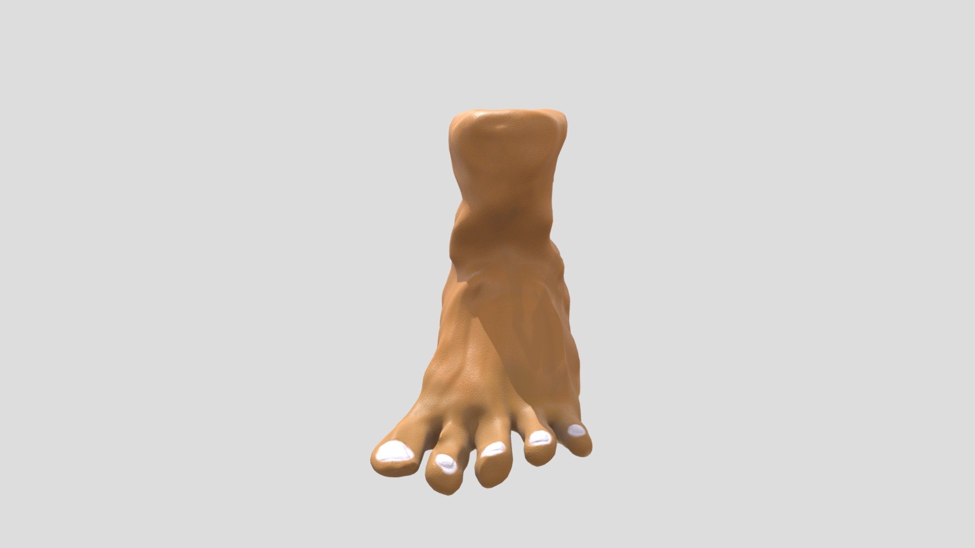 Foot - 3D model by olngisomari [81ec07c] - Sketchfab