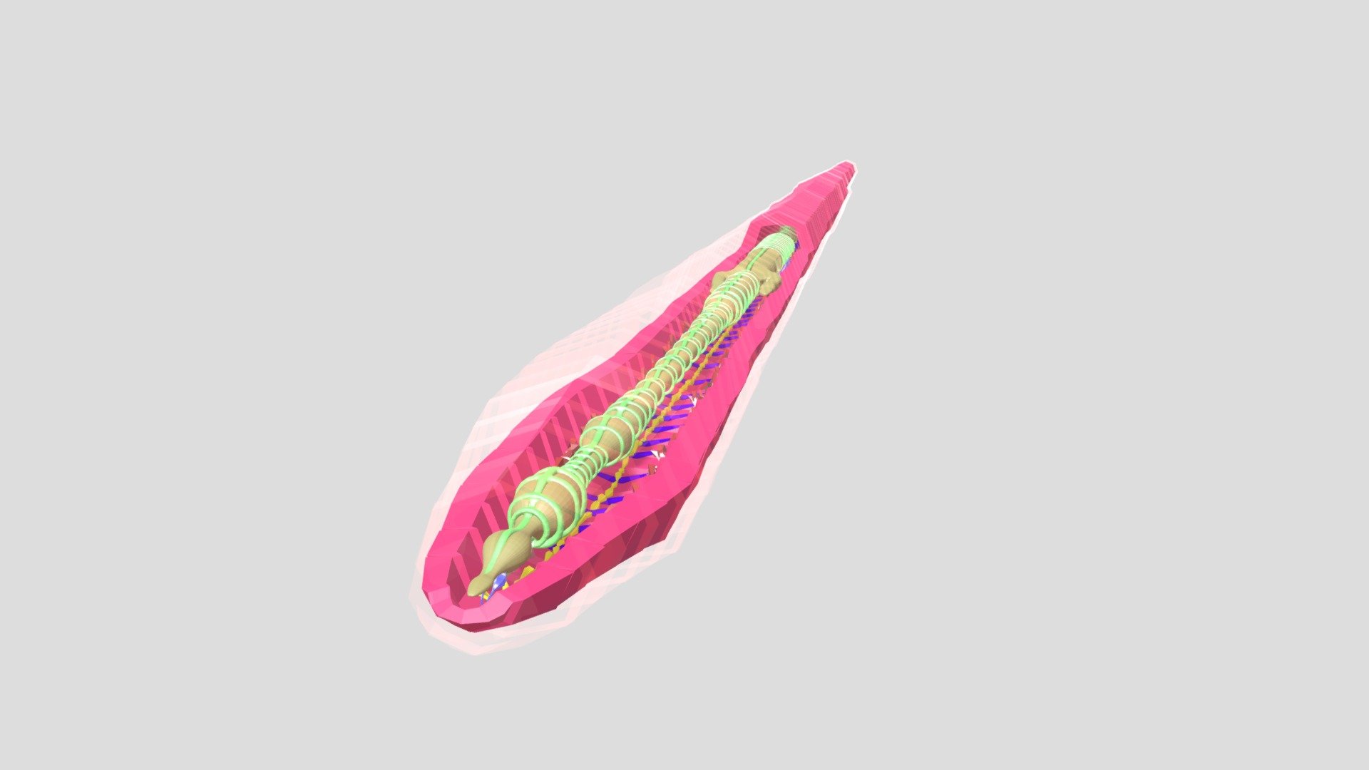 Earthworm - Download Free 3D model by PRINCE.JACK (@J.A.C.K) [81eddf9 ...