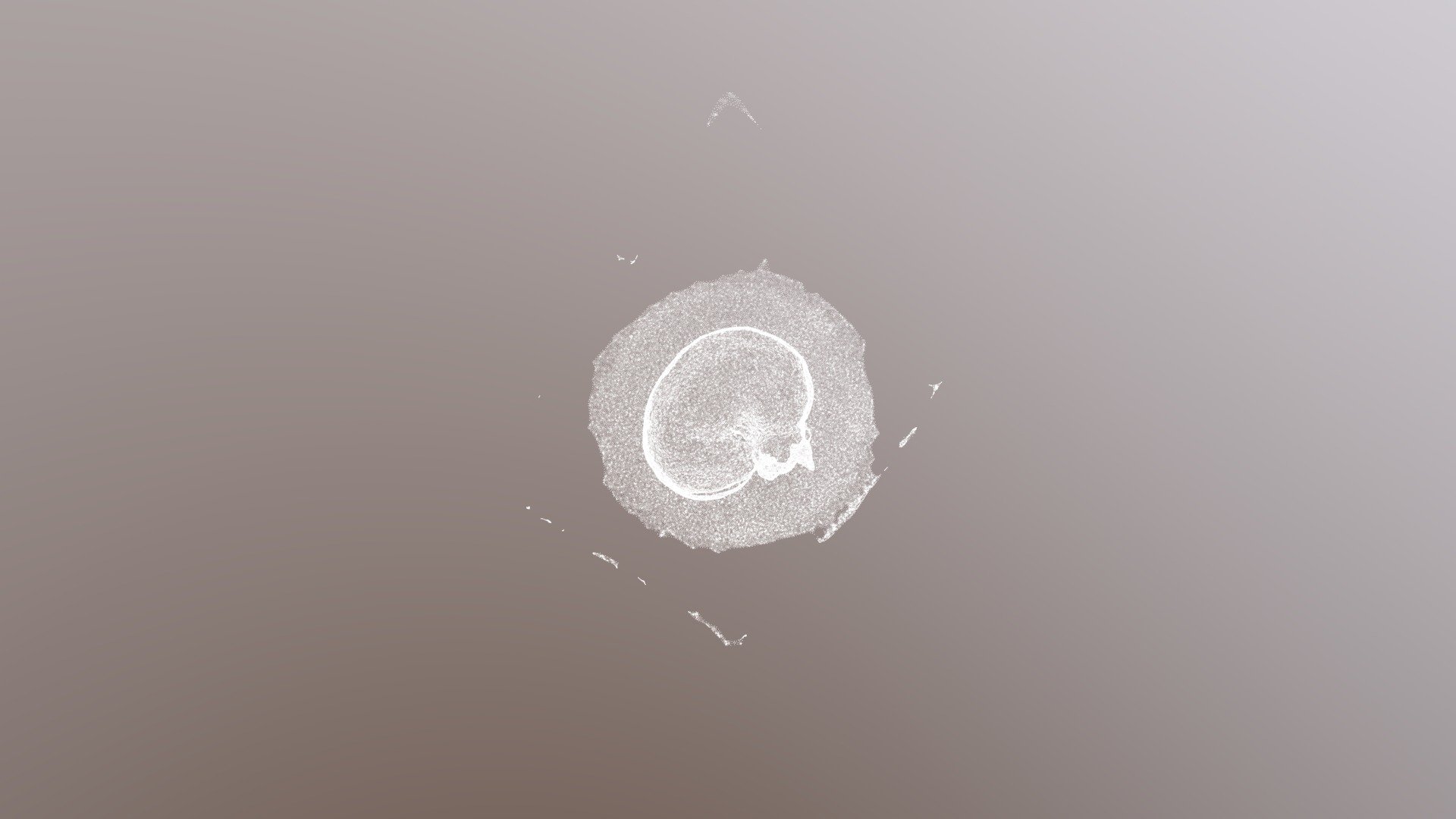 Cat RGB Dense Mesh Refine Texture - Download Free 3D model by sendwuk ...