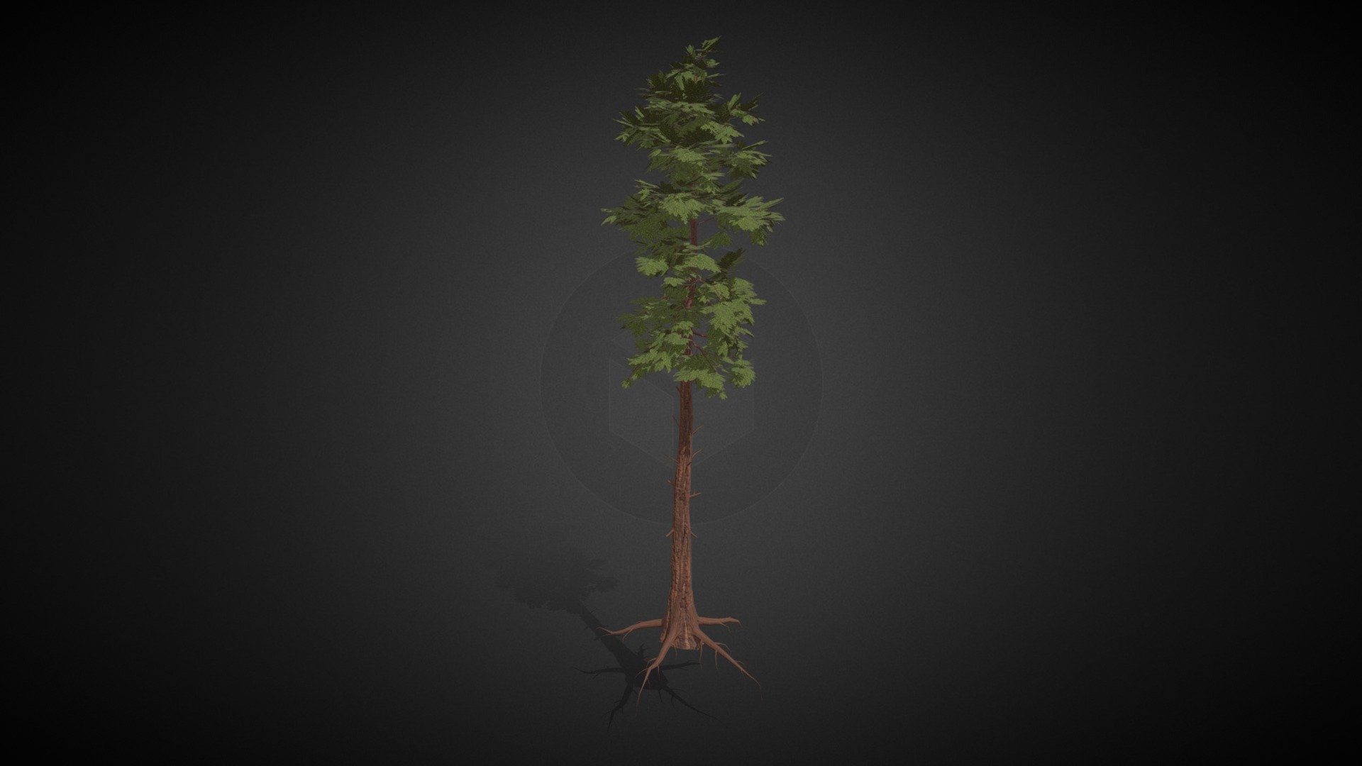 Red Wood Tree - Download Free 3D model by youthcloud.id [81f2e3a ...