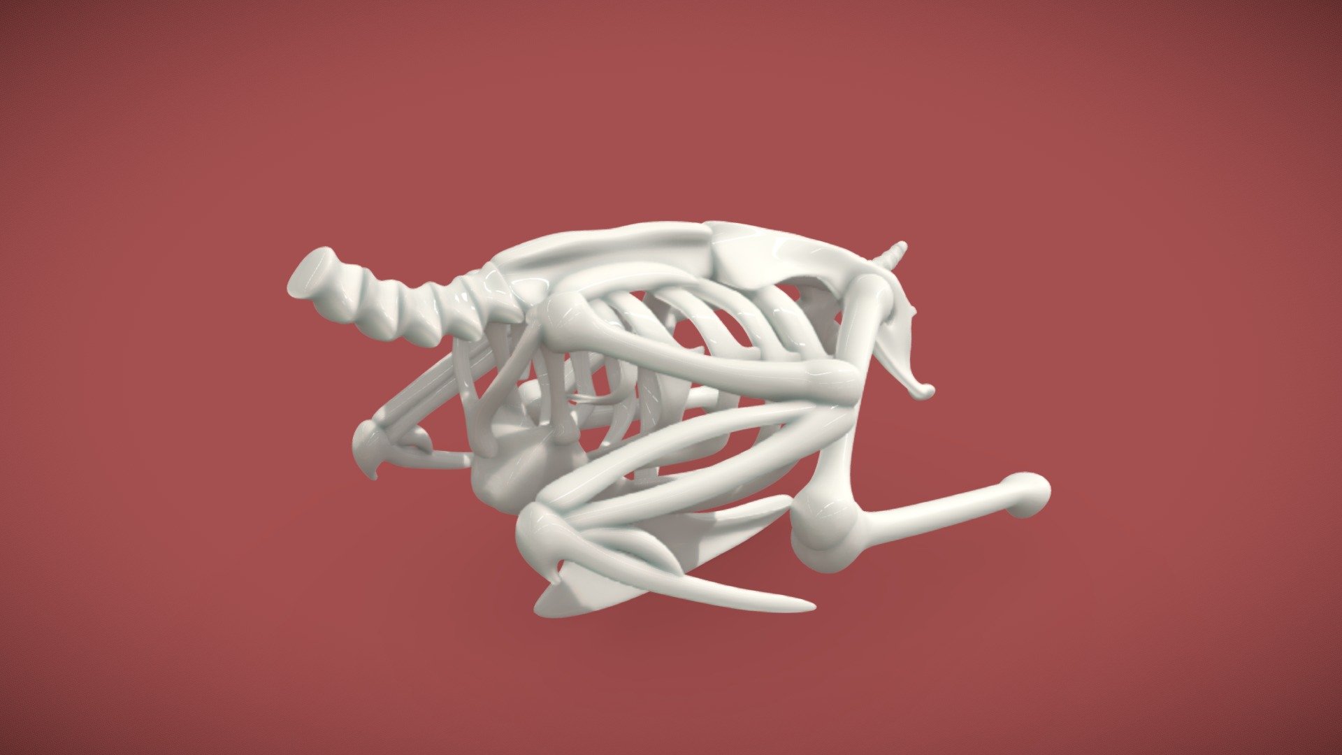Chicken Skeleton - 3D model by 3dprintlab_nz [81f61e3] - Sketchfab