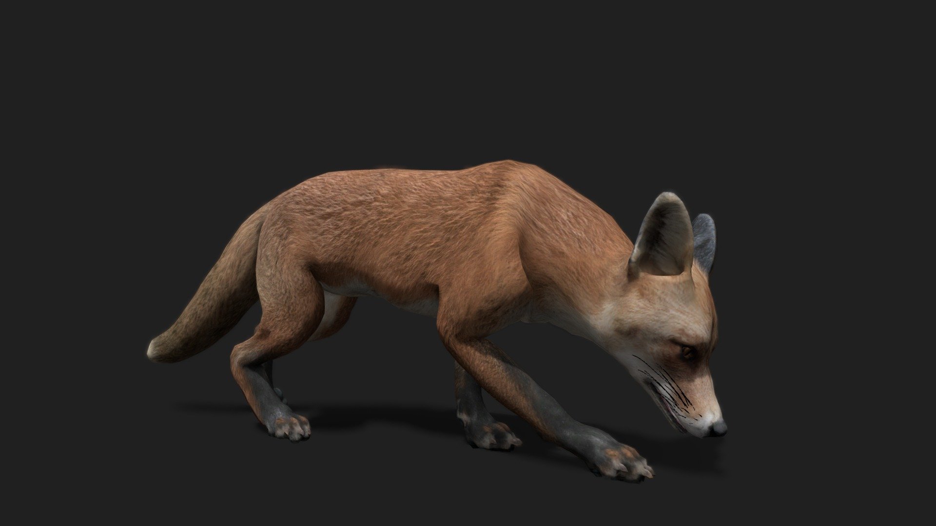 Realistic Fox 3D Model - 3D model by WildMesh 3D (@WildMesh_3D ...